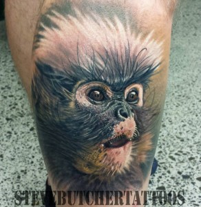 Steve Butcher Tattoo- Find the best tattoo artists, anywhere in the world.