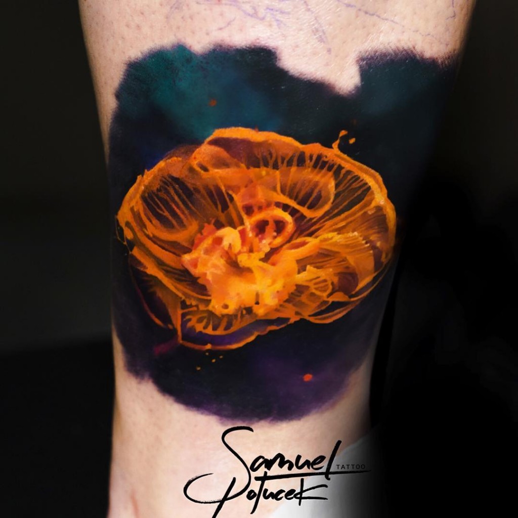 Samuel Potucek Tattoo- Find the best tattoo artists, anywhere in the world.